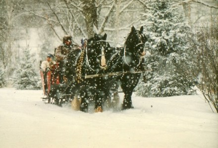 Nestlenook Farms – Country Design Home